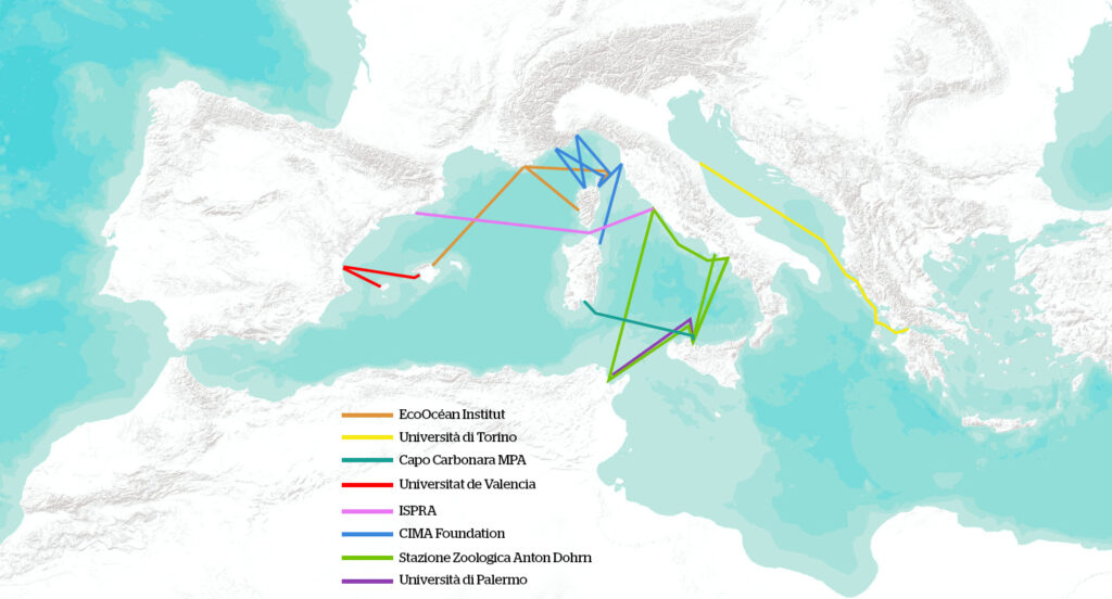 Embark on the ferries - Life Conceptu Maris