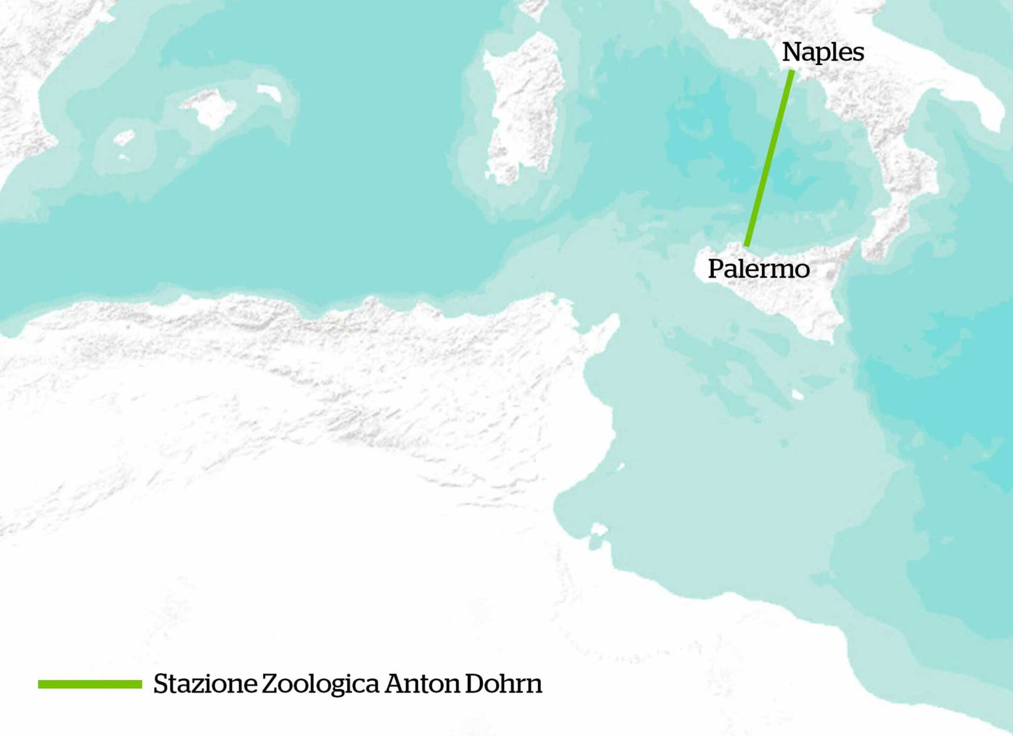 Embark on the ferries - Life Conceptu Maris