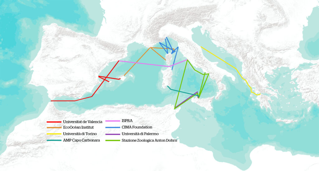 Imbarchi sui traghetti - Life Conceptu Maris